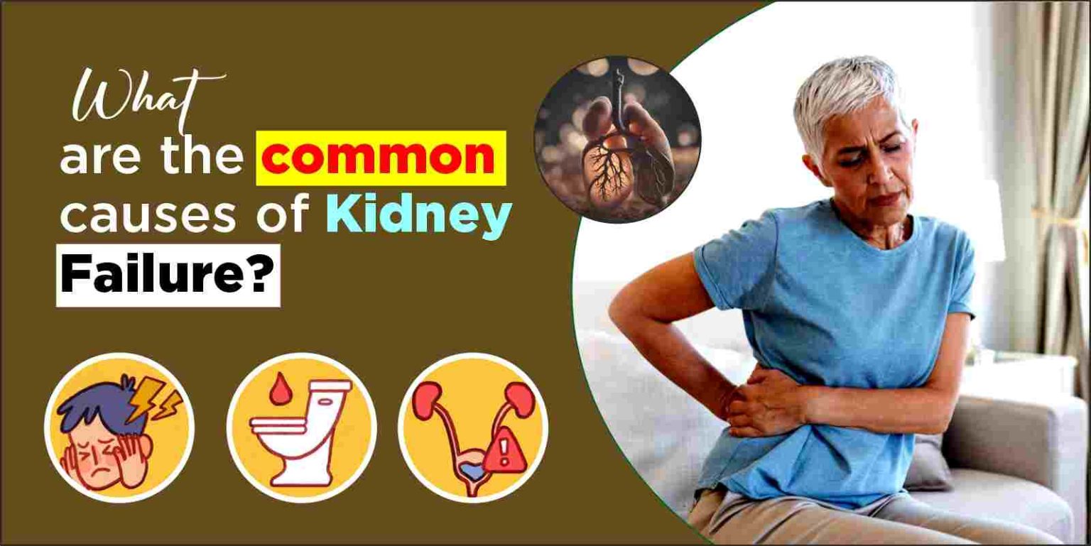 Understanding the Most Common Causes of Kidney Failure